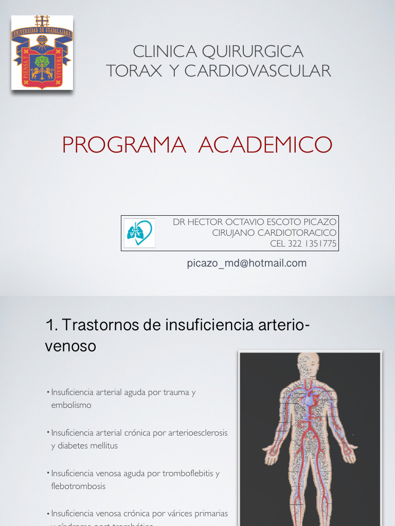 Programa Academico Cardiotorax | PDF