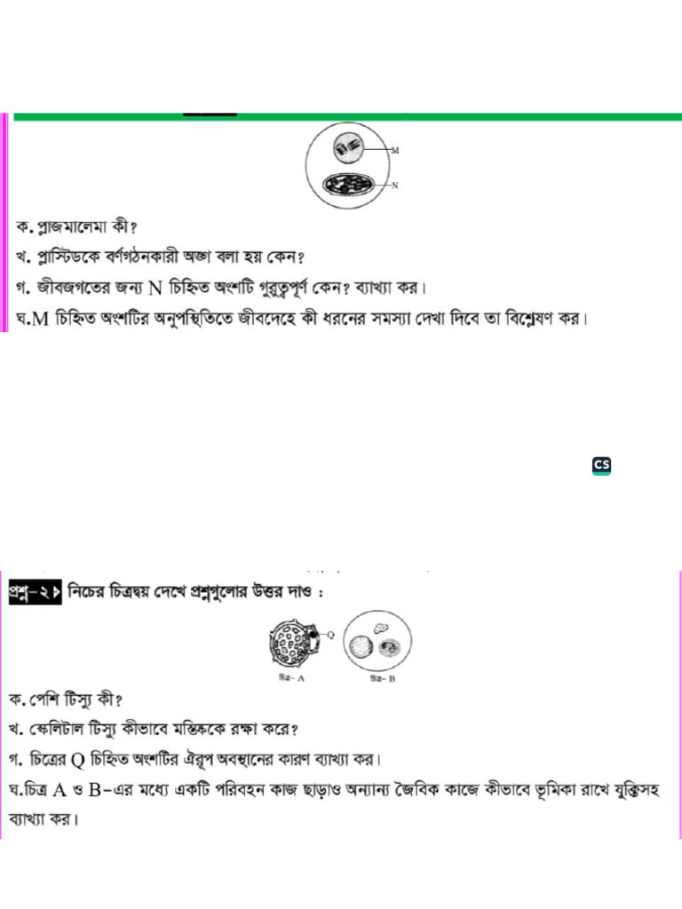 SSC Bio Chap 2 | PDF