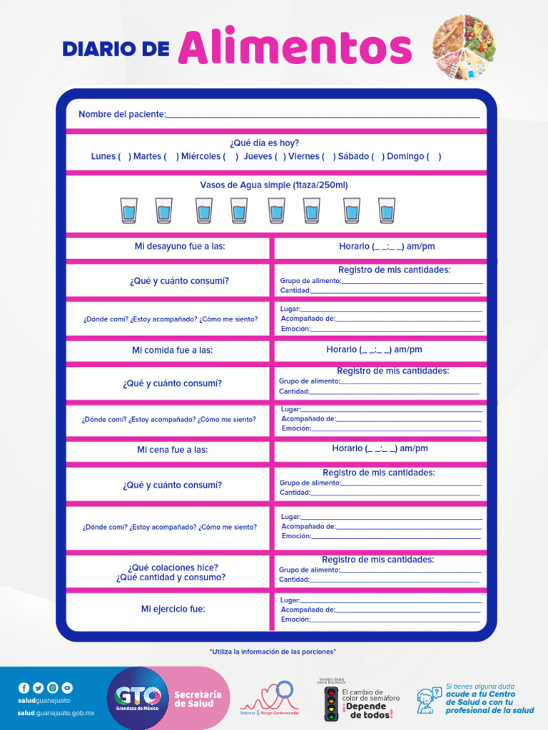 Diario de Alimentos y Porciones | PDF | Alimentos | Cocina