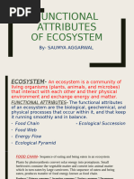 Biomanbio Succession Interactive | PDF | Flowers | Earth Sciences