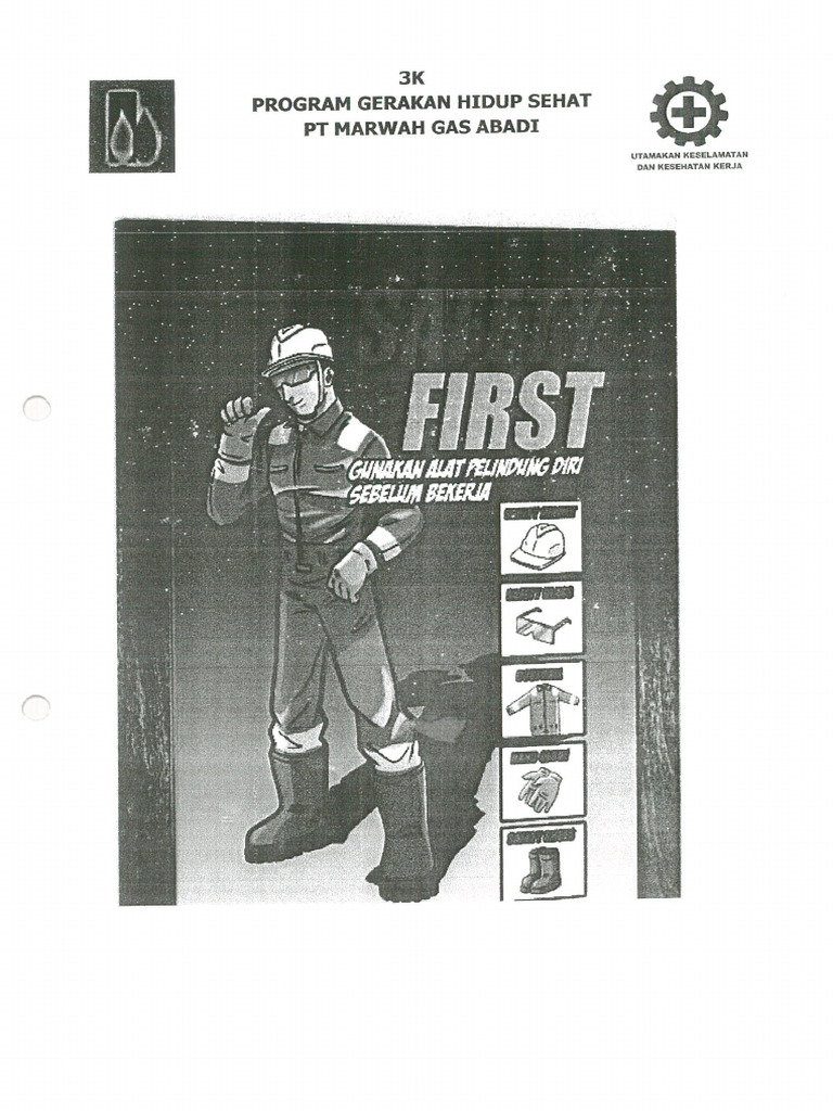 3K. Program Gerakan Hidup Sehat | PDF