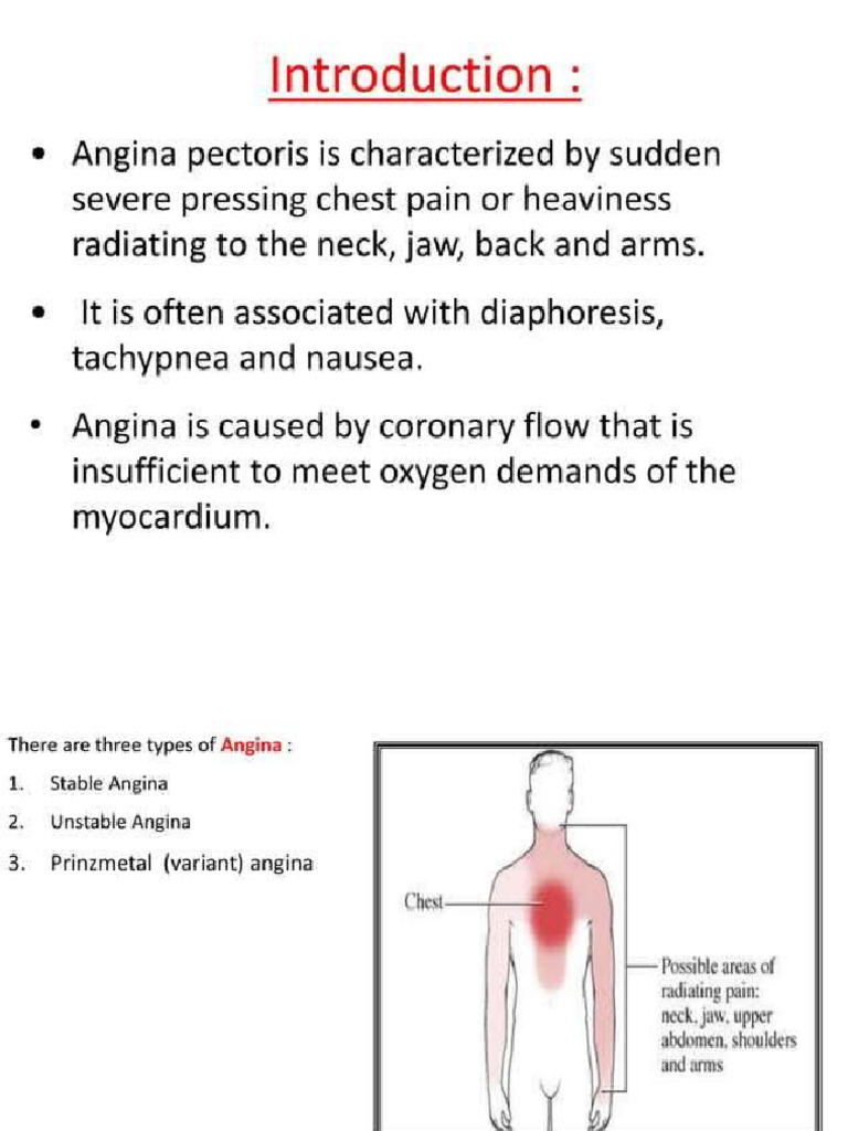 Anti Anginal Drugs | PDF