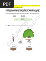 Photosynthesis: Starch Testing Methods | PDF | Photosynthesis | Leaf