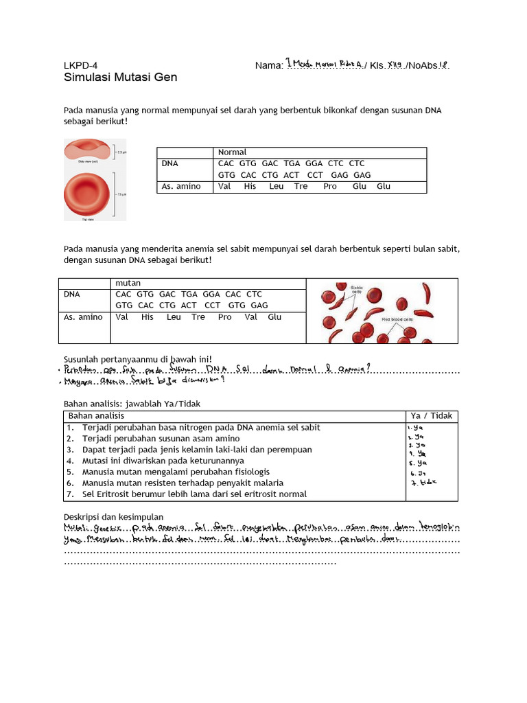 LKPD - 4 Mutasi Gen | PDF