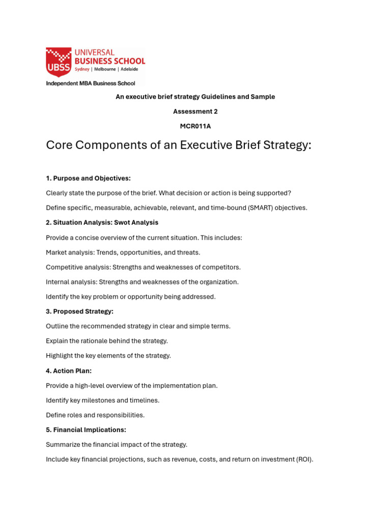 An Executive Brief Strategy Guidelines and Sample | PDF | Digital ...