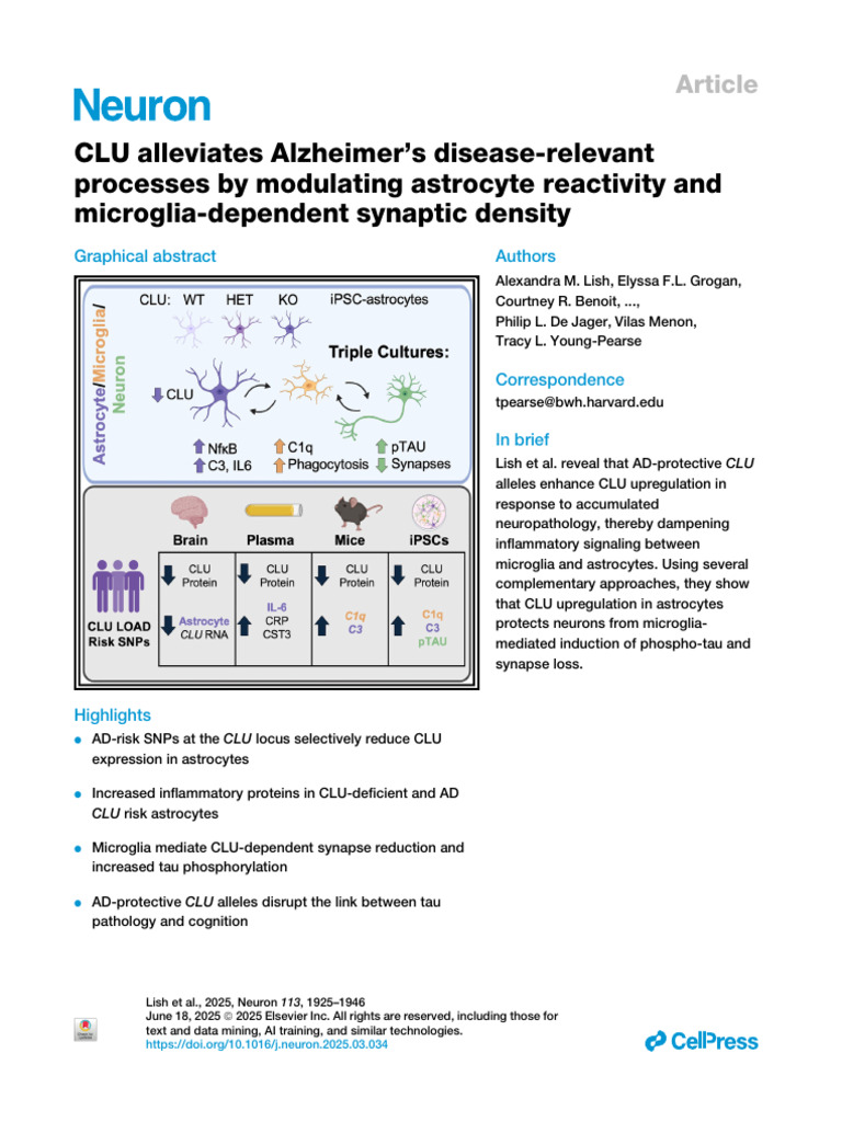 CLU Alleviates Alzheimer’ S Disease Relevant | PDF | Astrocyte | Microglia