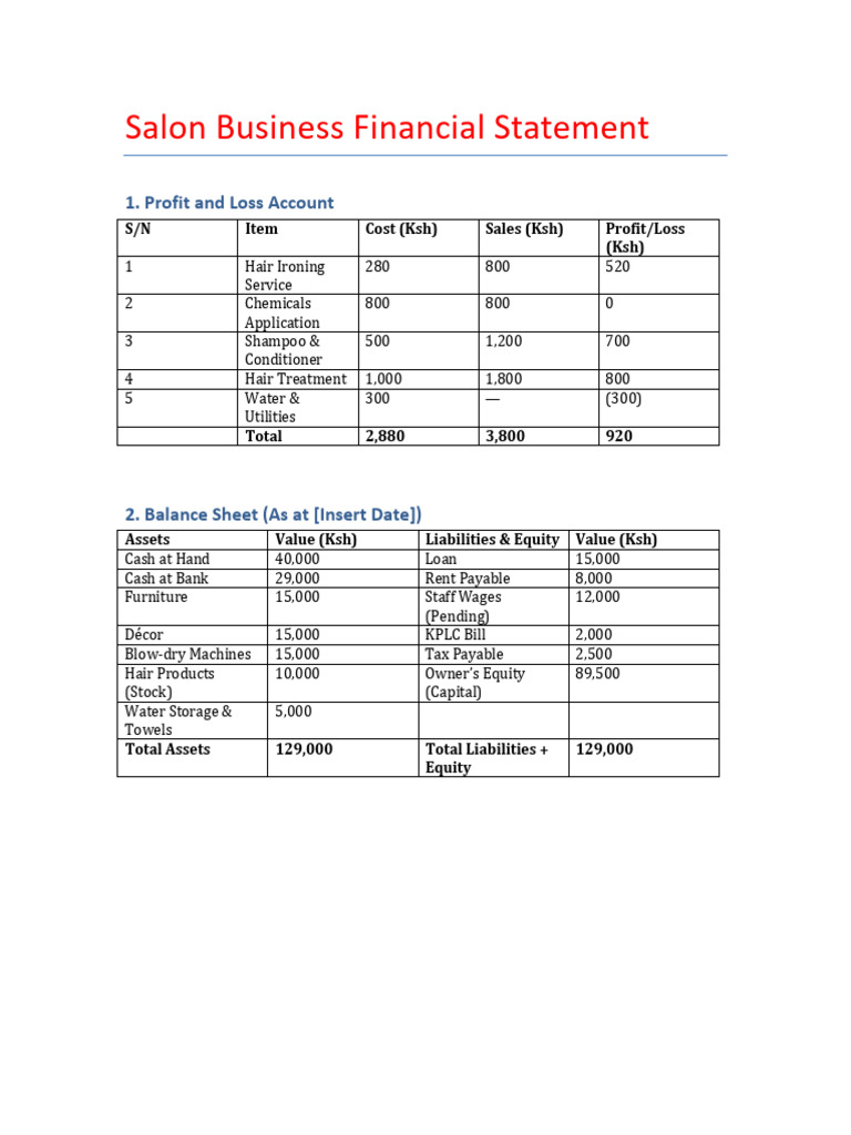 Salon Financial Statement Overview | PDF
