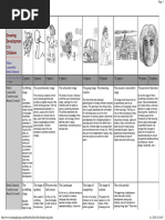 Kellogg's Art Development Stages | PDF | Drawing | Early Childhood