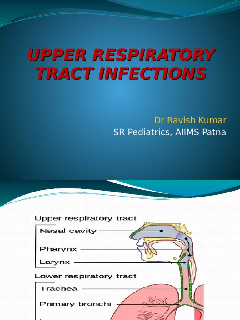 Approach To A Child With Stridor | PDF | Respiratory Tract | Clinical Medicine