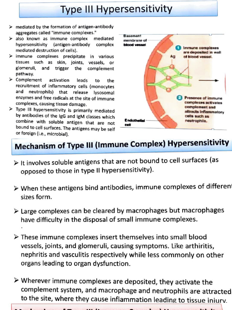 Hypersensitivity 3 and 4 | PDF