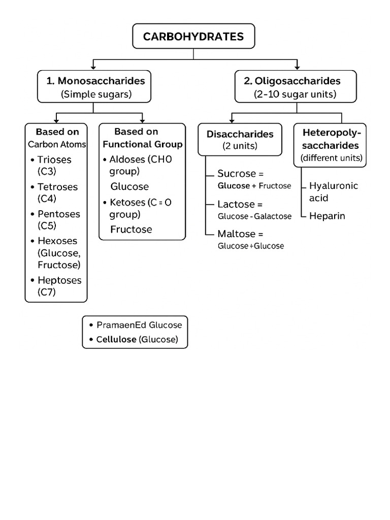 Classification of Carbohydrates | PDF