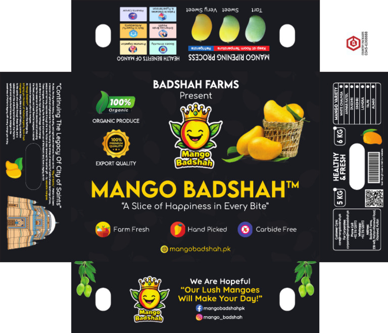 Mango 2025 Final Design | PDF