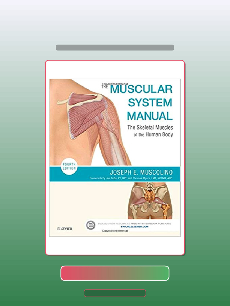 The Muscular System Manual The Skeletal Muscles of The Human Body 4th ...