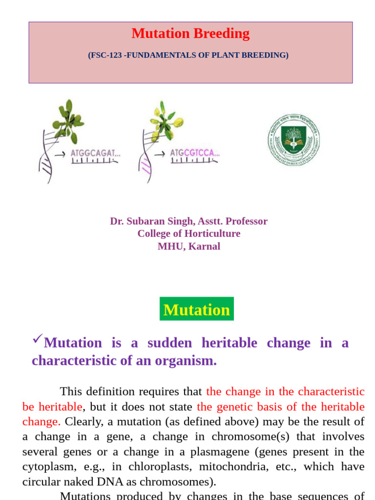 14 Mutation Breeding | PDF | Mutation | Plant Breeding