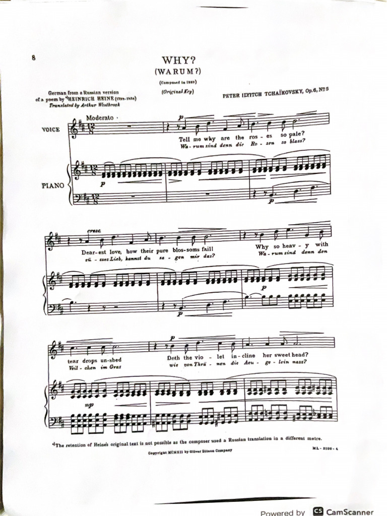 Why Tchaikovsky | PDF