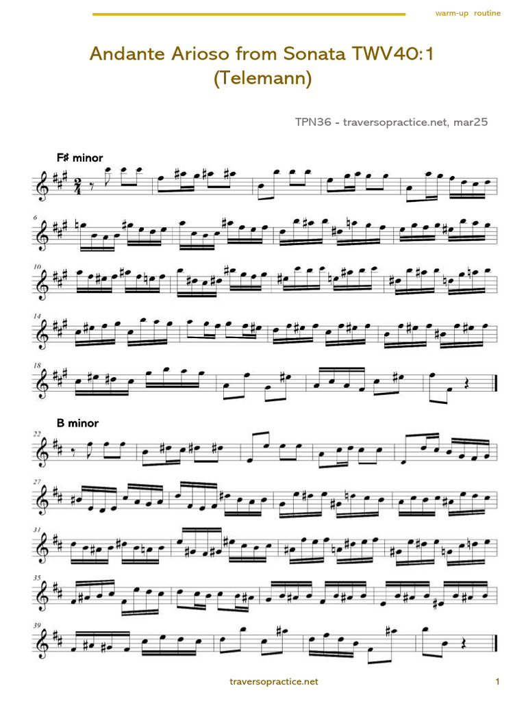 Traverso Practice Net 36 | PDF