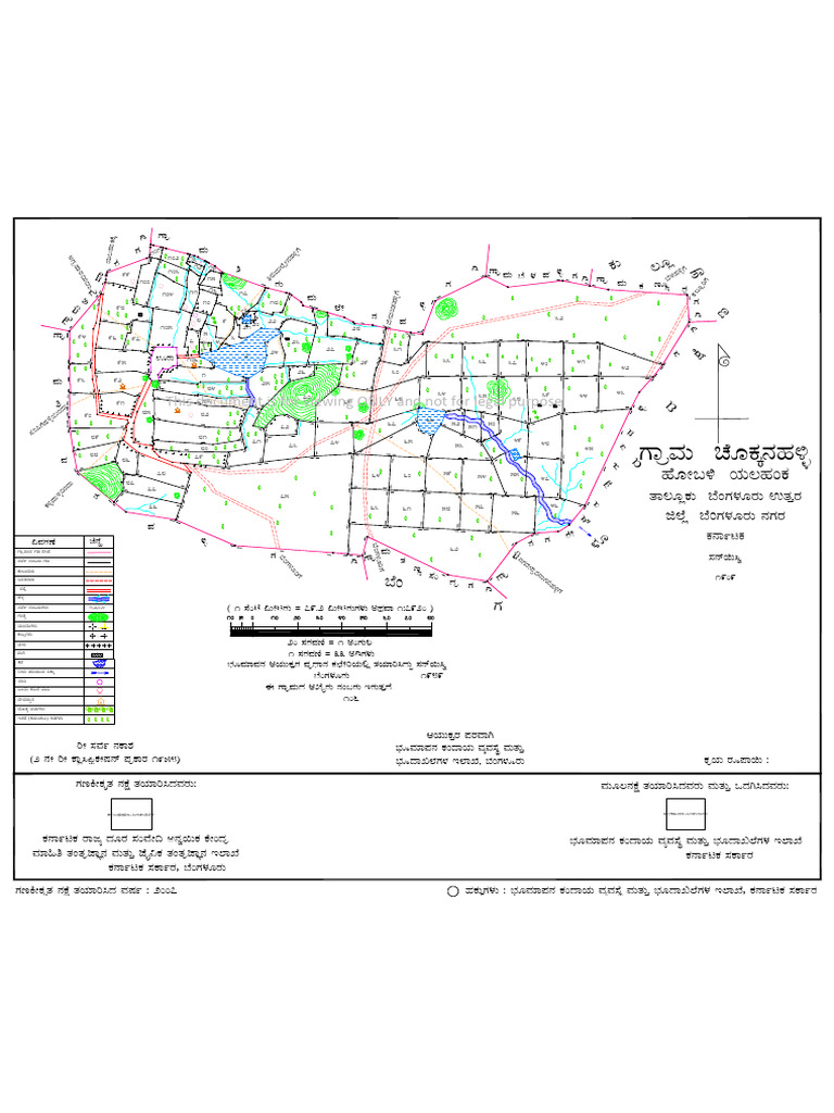 Chokkanahalli Village Map | PDF