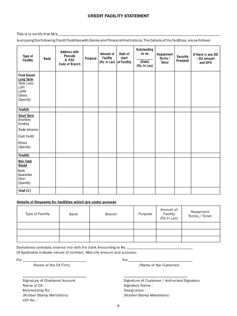 Credit Facility Statement | PDF