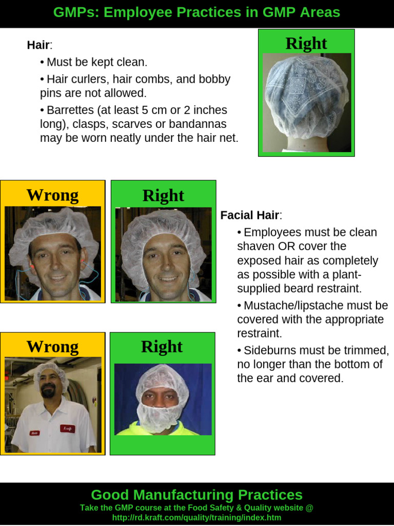Hair Restraint in GMP Areas | PDF