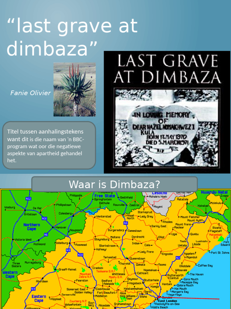 Last Grave at Dimbaza | PDF