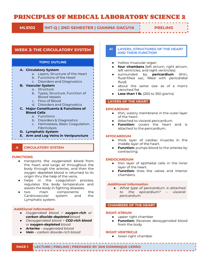 Overview of the Circulatory System | PDF | Heart Valve | Heart