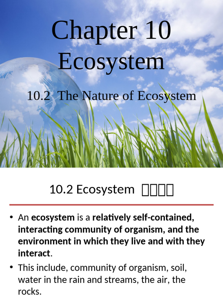 Chapter 10.2 Ecosystem | PDF | Food Web | Ecosystem