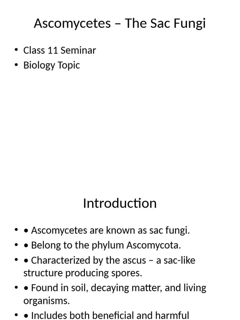 Ascomycetes: Overview for Class 11 | PDF