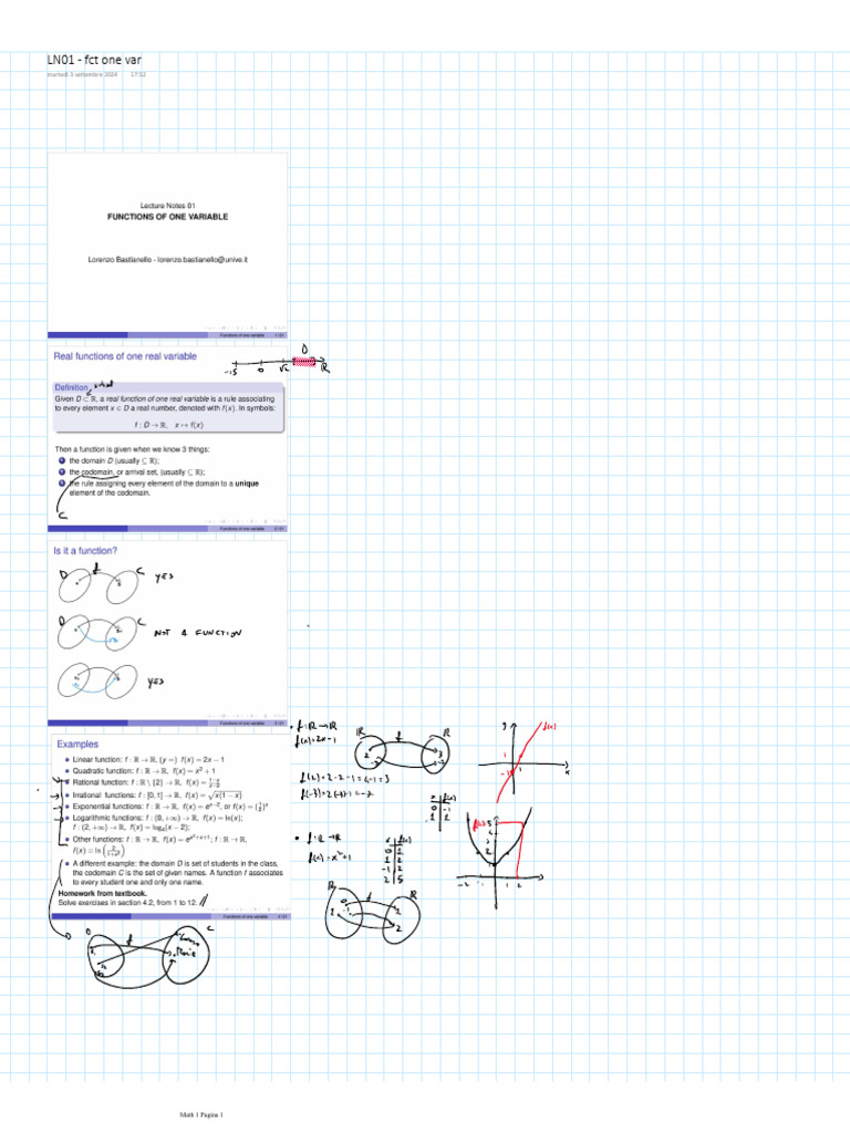 Functions Notes | PDF