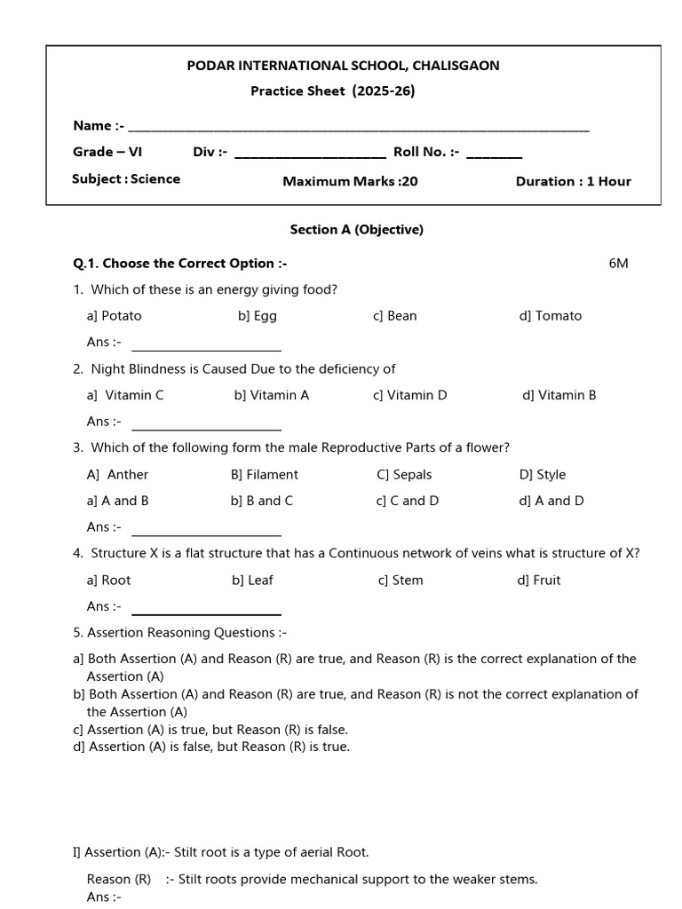 Grade VI Science Practice Sheet | PDF | Foods | Vitamin