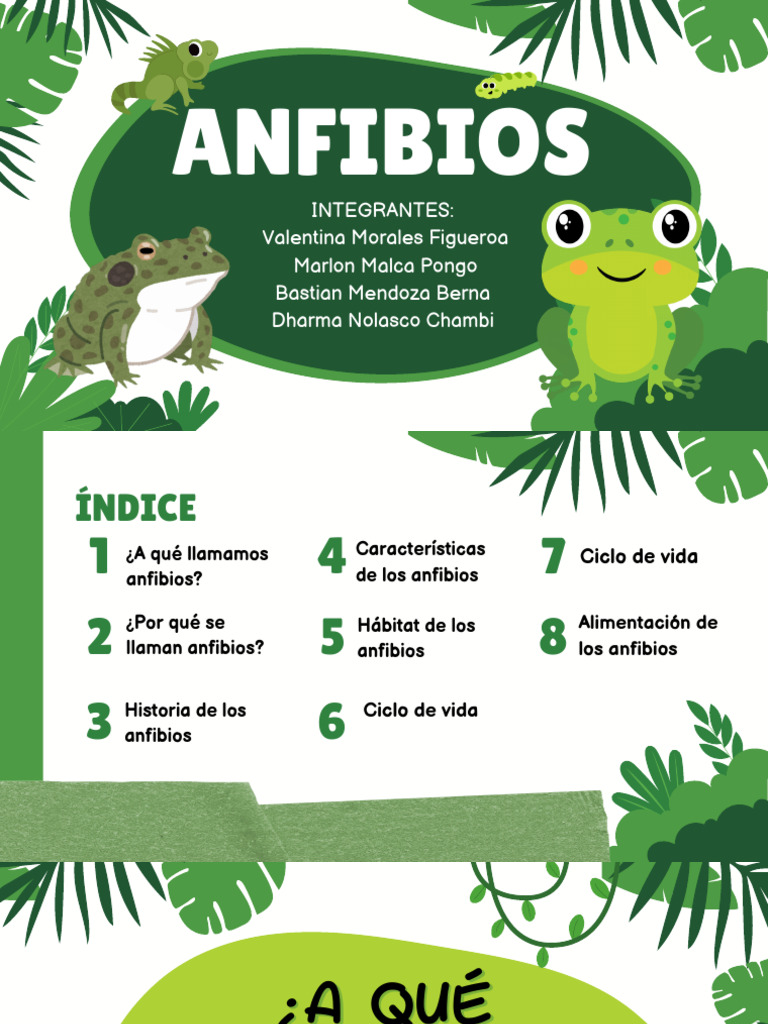 ANFIBIOS | PDF