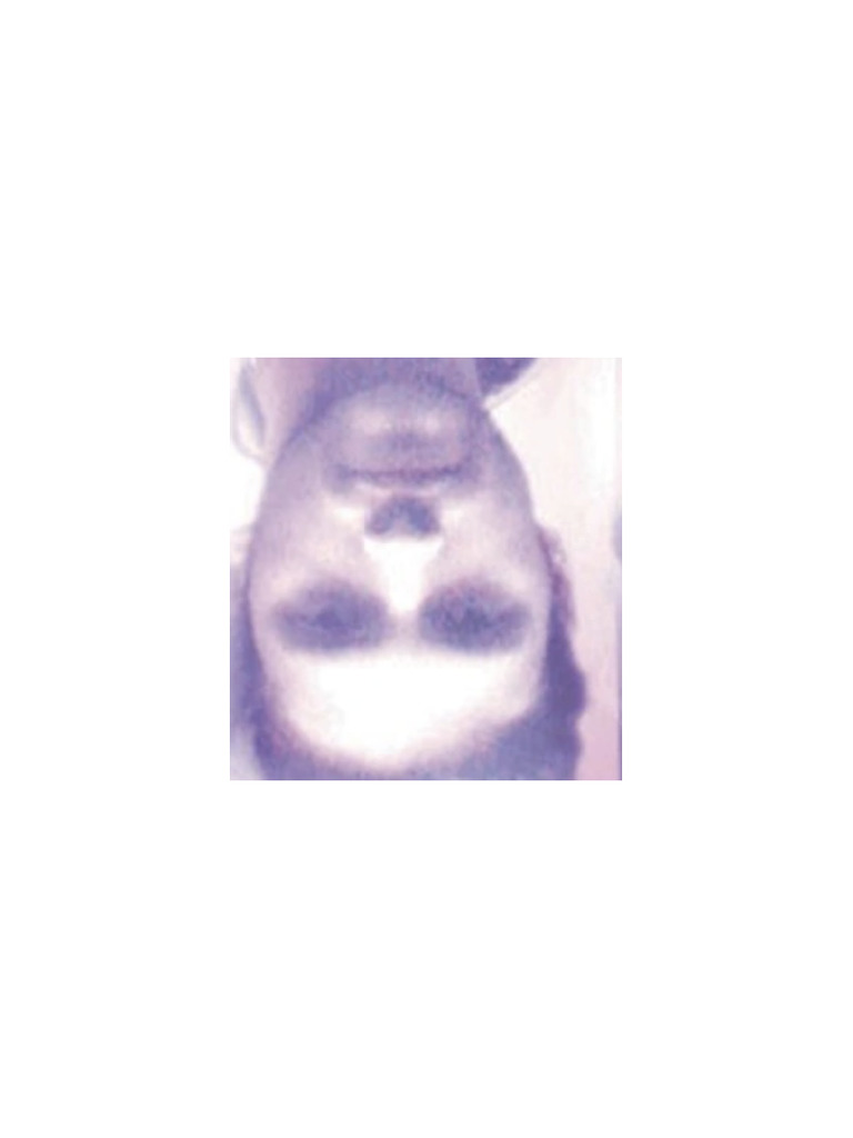 Father Kreiner | PDF