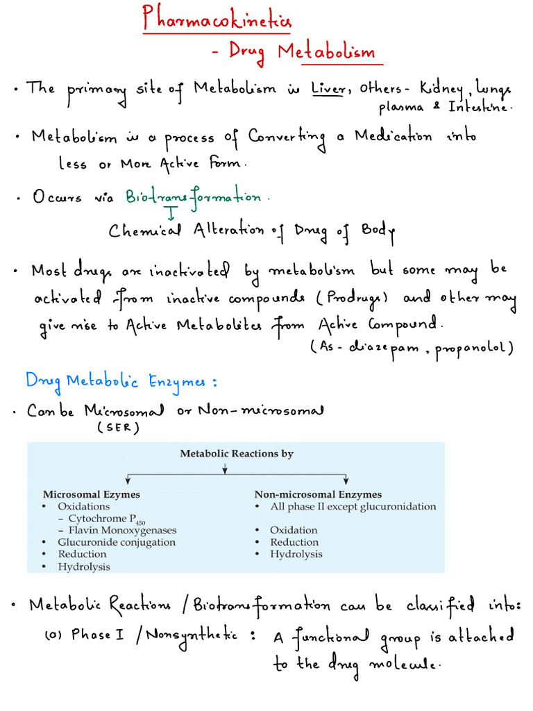 Pharmacokinetics - Drug Metabolism | PDF | Drug Metabolism | Drugs