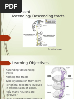 Spinal Cord Ascending and Descending Tracts | PDF | Spinal Cord ...