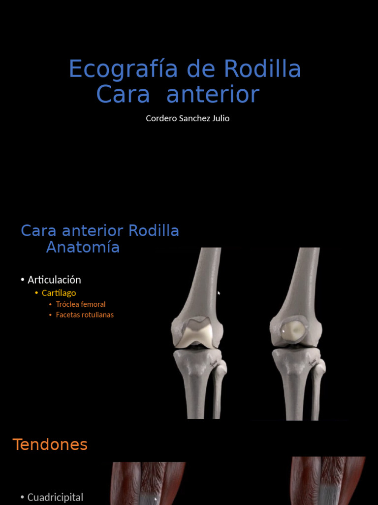 Ecografía de Rodilla Cara Anterior | PDF | Rodilla | Extremidades ...
