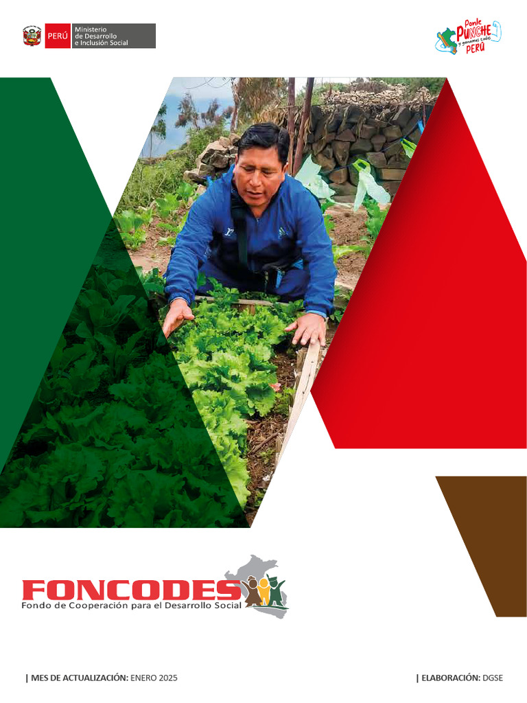 Informe FONCODES 2025: Proyectos y Resultados | PDF | Economias