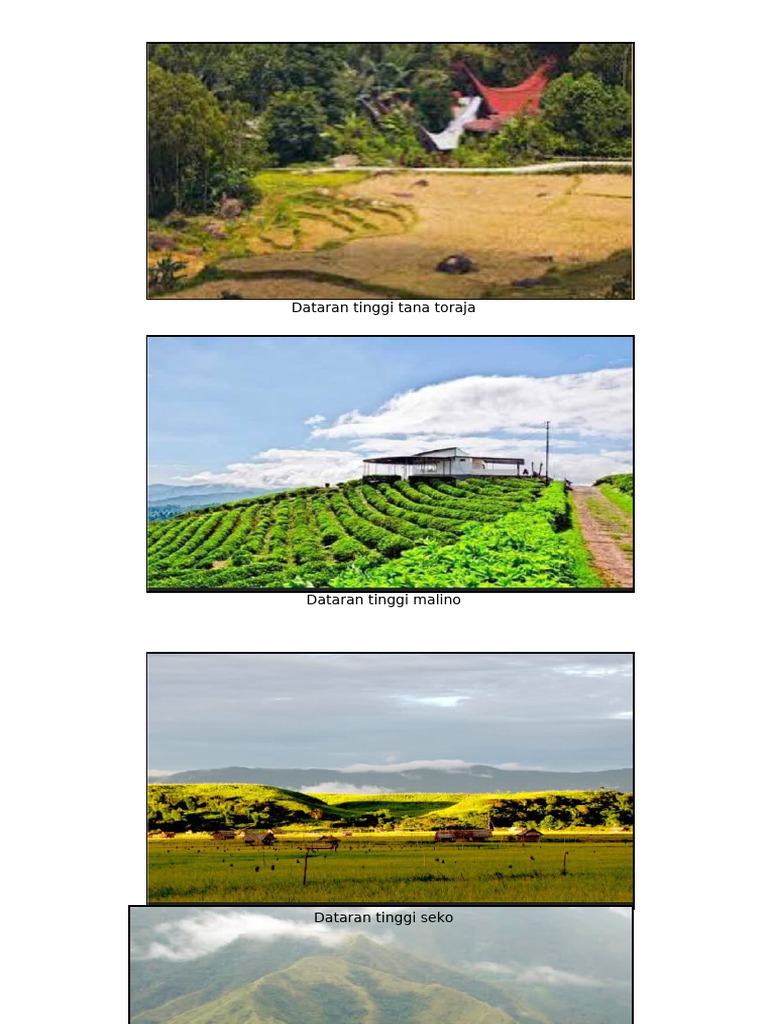 Dataran Tinggi Tana Toraja | PDF