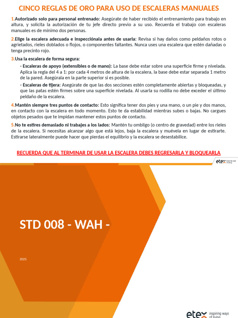 Presentación WAH y MS | PDF | Working Conditions | Occupational Safety And Health