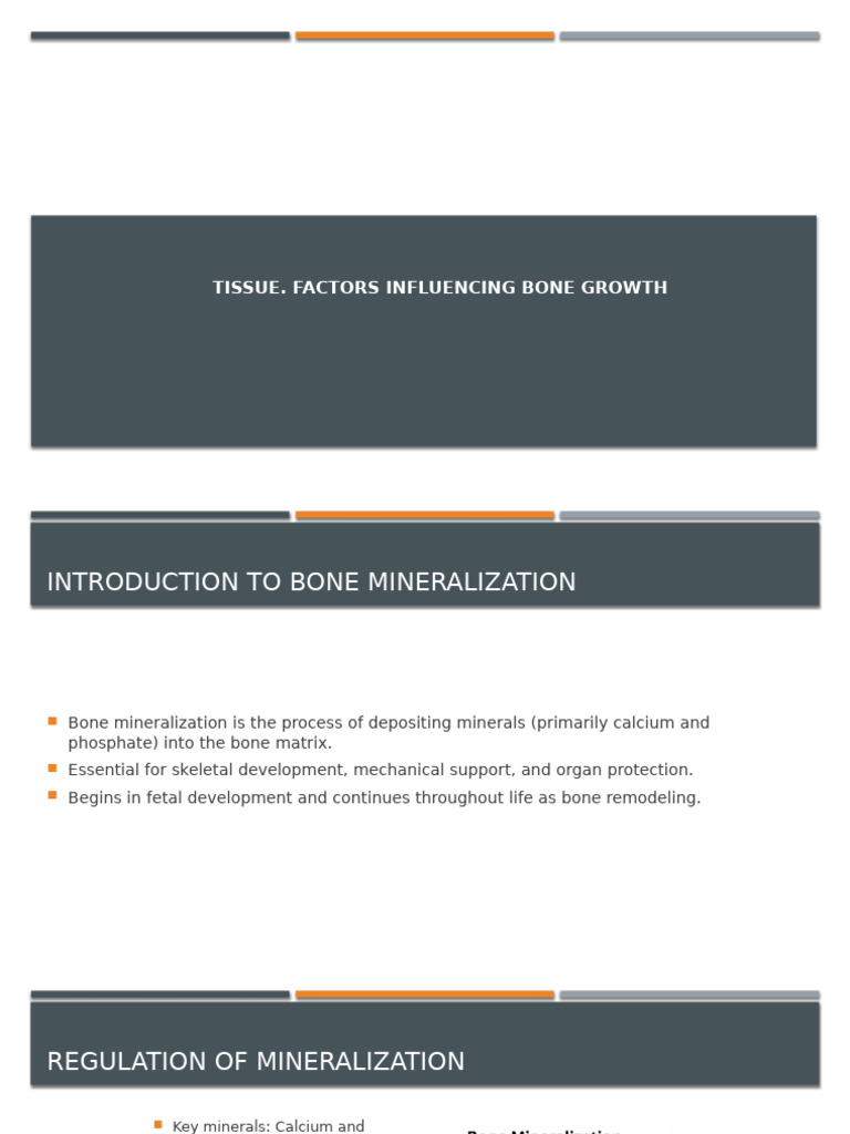 Bone Tissue Presentation | PDF | Bone | Vitamin D
