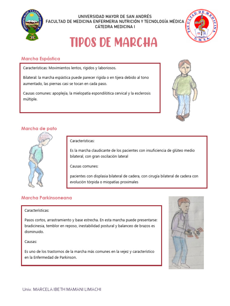 Tipos de Marchas. Marcela Mamani | PDF | Pie | Enfermedades y ...