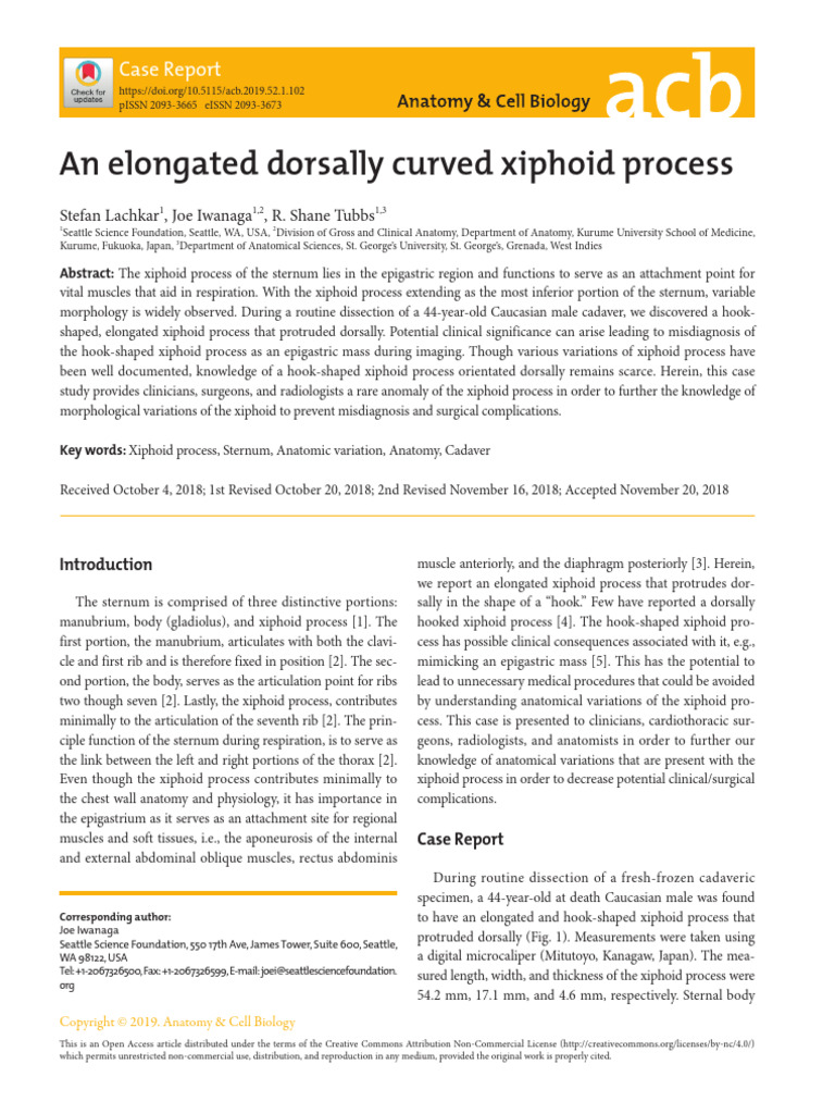 Elongatedd Dorsally Curved Xiphoid Process | PDF | Thorax (Human Anatomy)