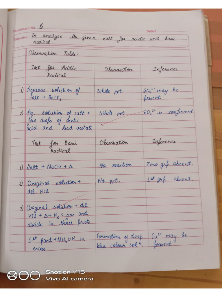 Chemistry Practical 2025 | PDF