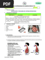 Disecando el Pulmón de Vaca | PDF | Pulmón | Sistema respiratorio