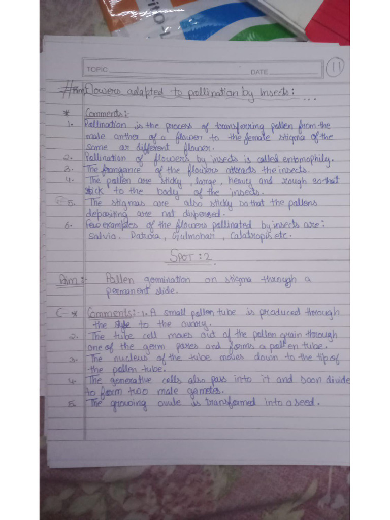Bio Practicals | PDF