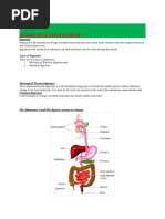 Adaptations of the Small Intestine for Absorption | PDF