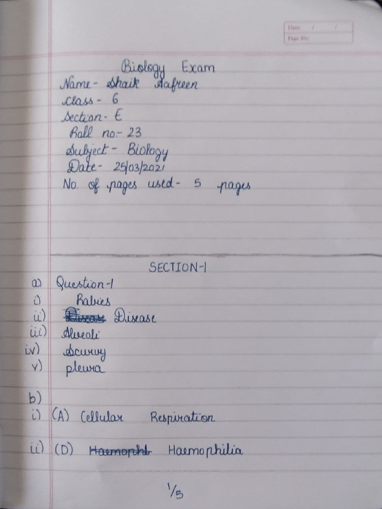 6E 23 Shaik Aafreen Bio Exam | PDF