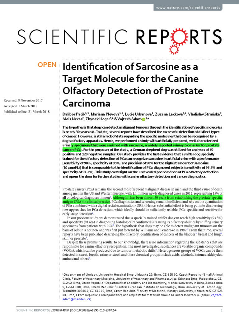 Canine Detection of Prostate Cancer Sarcosine | PDF | Sensitivity And ...