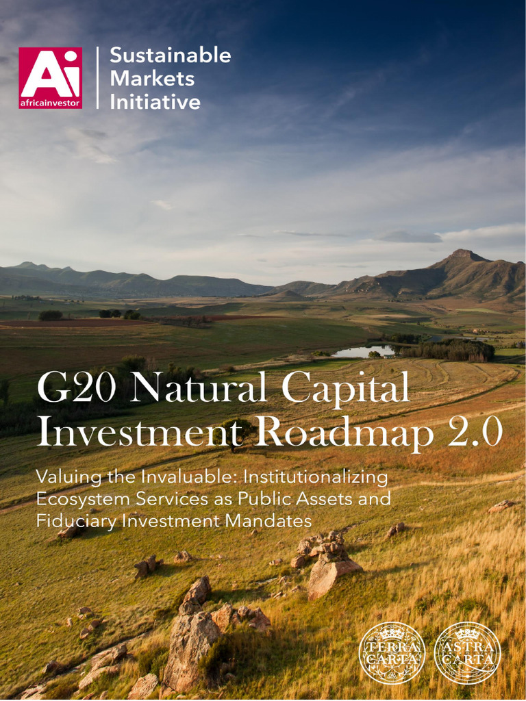 Darek Woodward's Net Worth Insights | PDF | Infrastructure | Climate ...