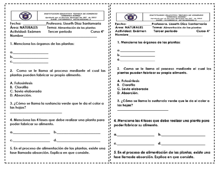 Examen sobre Alimentación de Plantas | PDF