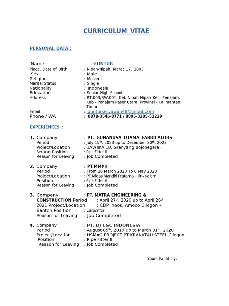 Curriculum Vitae: Personal Data | PDF