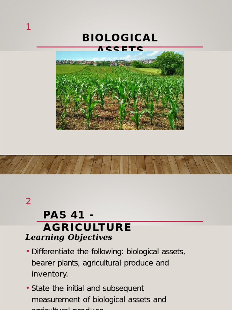 15 - Biological Assets | PDF | Fair Value | Taxes